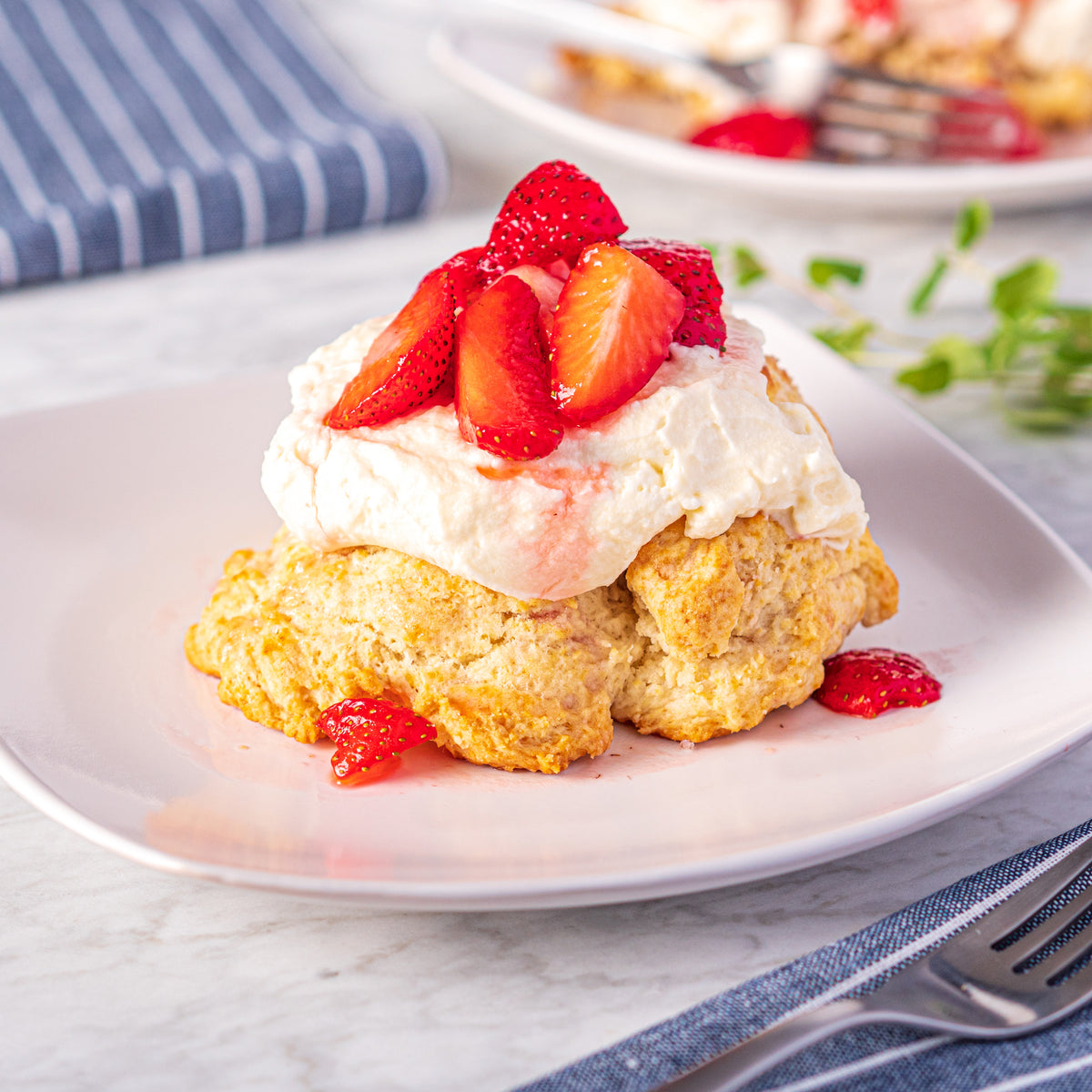 Strawberry Shortcake – Magnolia Star